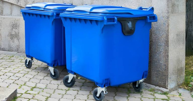 How Blue Fox Skips Works: Easy Bin Rental Steps